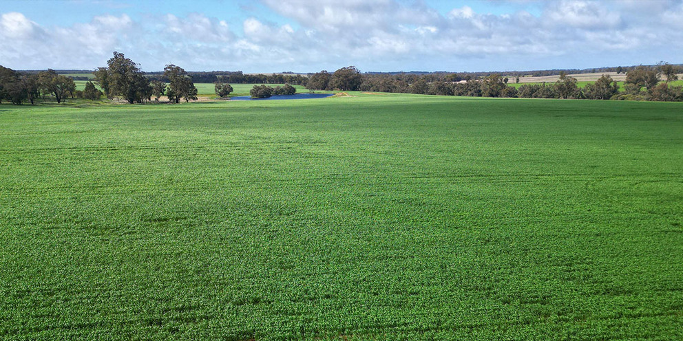 Prime rural gem in Western Australia's Great Southern region lists for ...