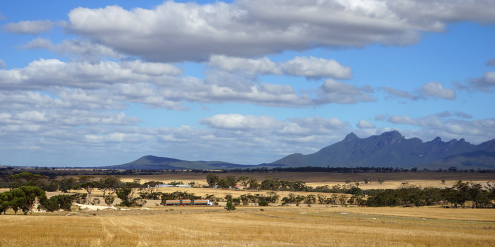 $13 million sale and massive WA cattle station listing headline Raine ...