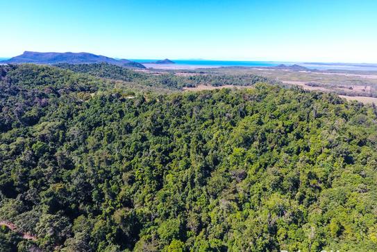 Mackay Real Estate Agents & Property Management - Raine & Horne Mackay ...